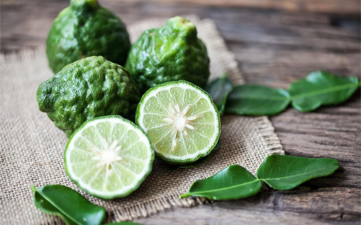 7 Khasiat Limau Purut (Termasuk Daun dan Minyaknya)